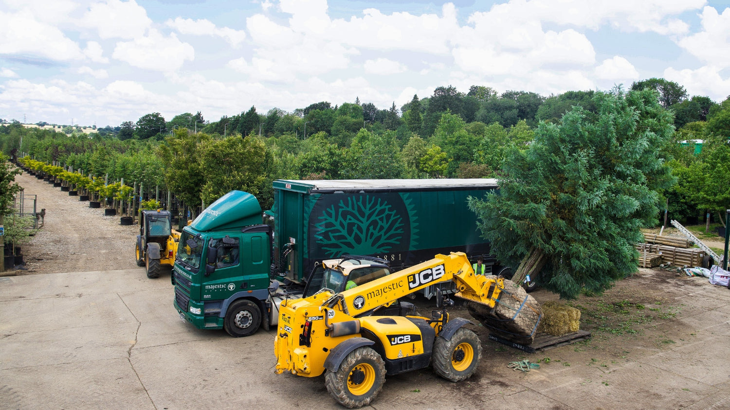 Delivery Options – Majestic Trees