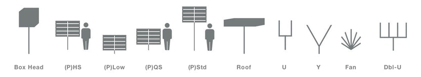 Understanding Tree Forms & Their Shapes | Majestic Trees